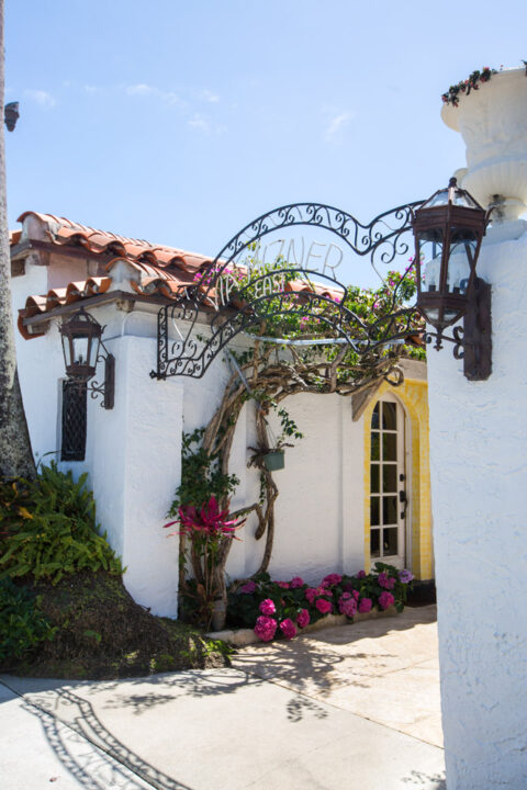 Fairfield County LOOK Palm Trees and Prosecco Luncheon 2018 - Fairfield ...