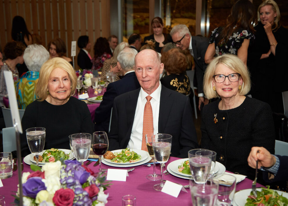 Leadership Donors Reception for the New Bruce Museum - Fairfield County ...