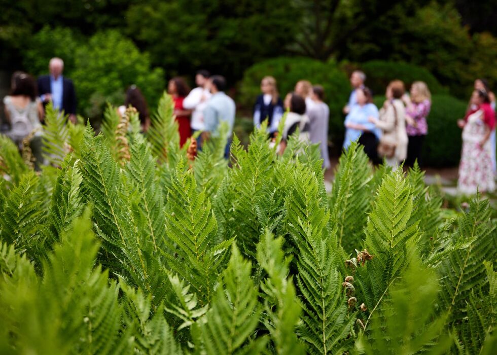 LOOK Summer Solstice and Garden Tour with Oehme, van Sweden - Fairfield ...