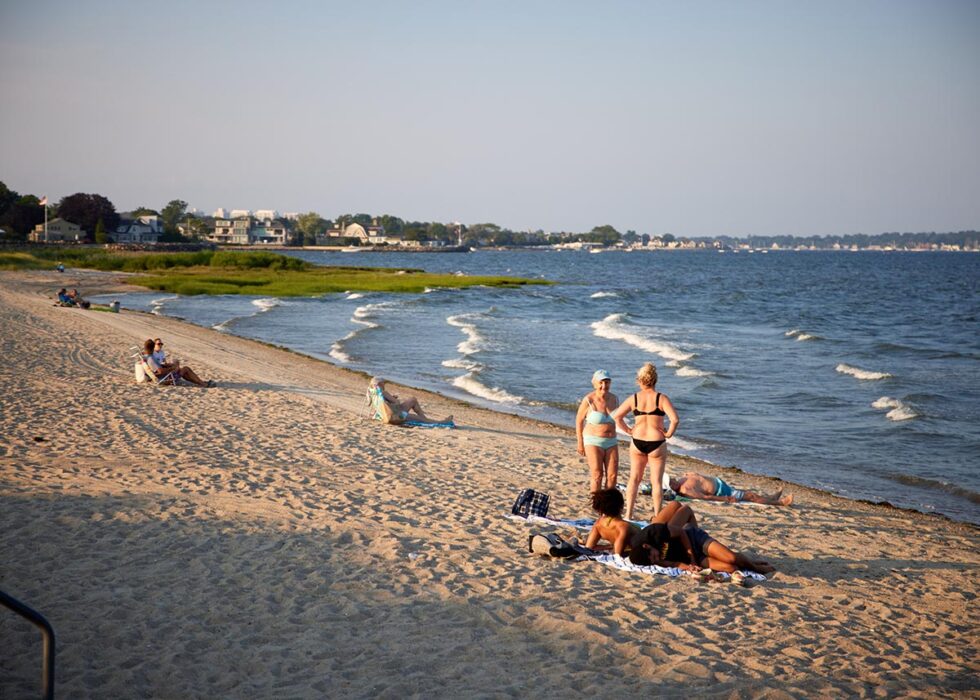 Bruce Museum Sips On The Sound 2023 - Fairfield County Look