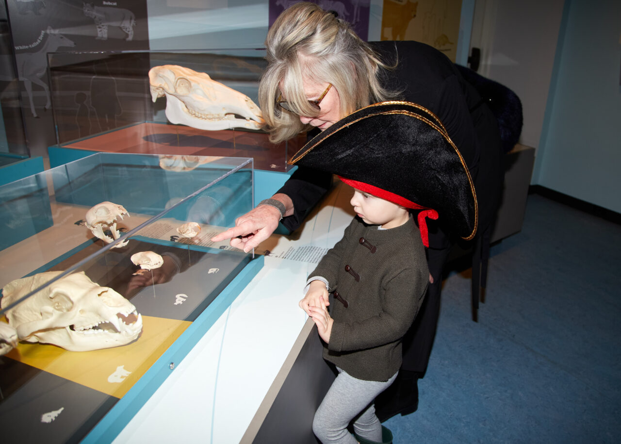 Bruce Museum – Night at the Museum – Monsters and Mermaids - Fairfield ...