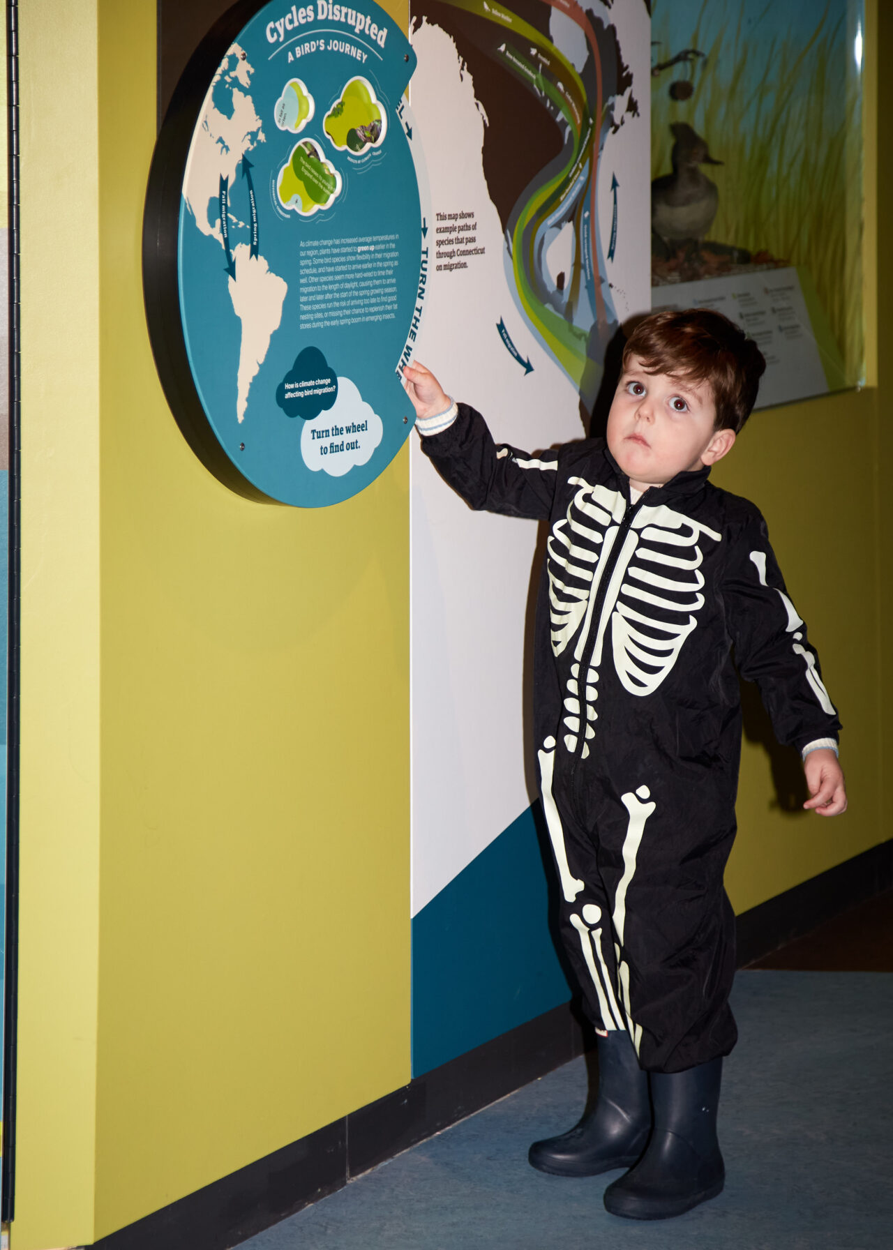 Bruce Museum – Night at the Museum – Monsters and Mermaids - Fairfield ...