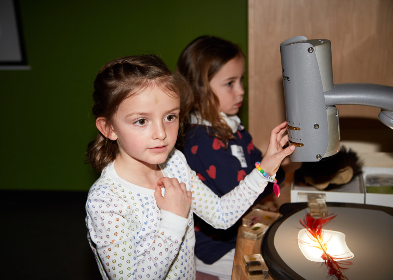 Bruce Museum – Night at the Museum – Monsters and Mermaids - Fairfield ...