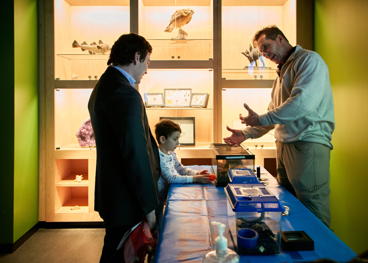 Bruce Museum – Night at the Museum 2025 - Fairfield County Look