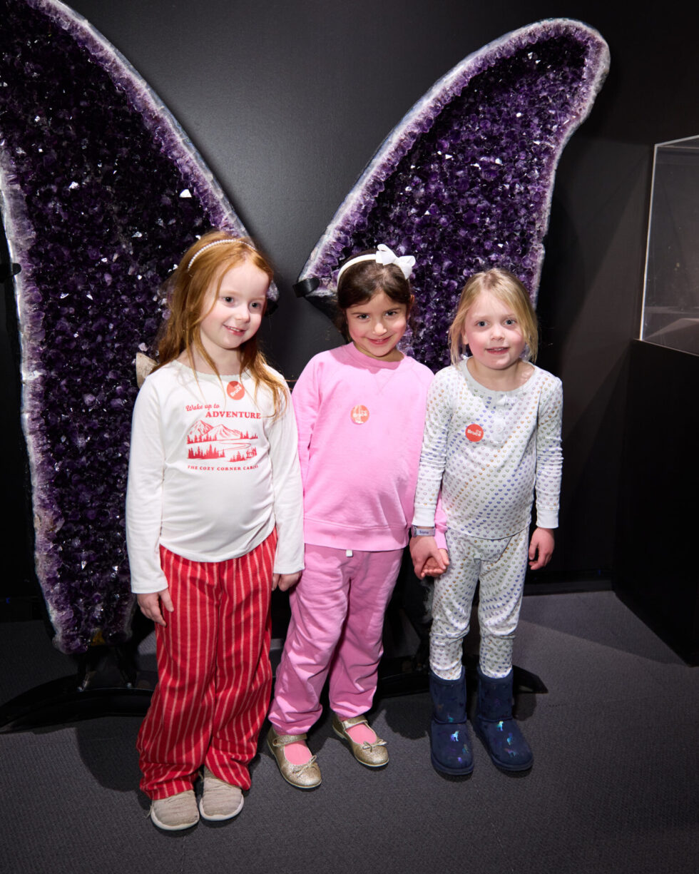 Bruce Museum Night at the Museum 2026 - Fairfield County Look